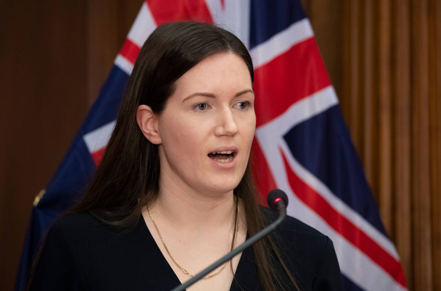 【行动党】需要更多的钱投入基础设施建设？ 我们听到您的心声了！ | 新西兰毛传媒